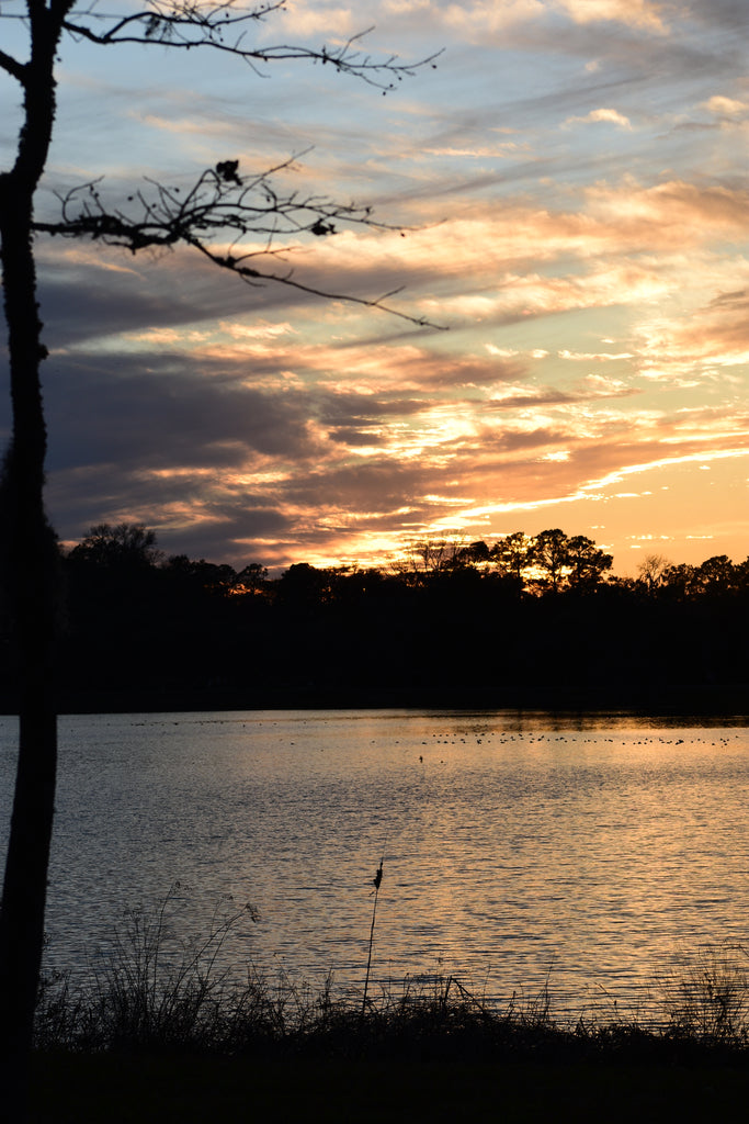 SPRING COLLECTION 2024 – GATHER