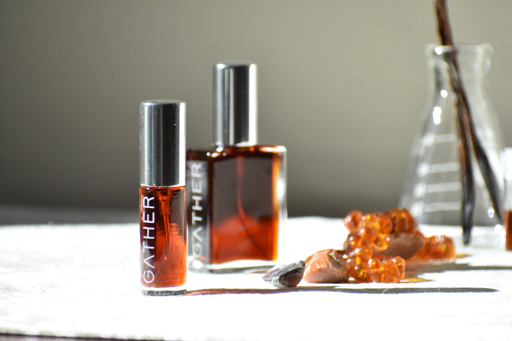 Amber accord ingredients Ambreine perfume by GATHER Oriental fragrance
