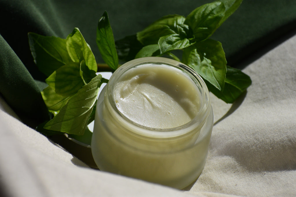BASIL - YARROW FACE CREAM | LIMITED BATCH FALL 2023 – GATHER