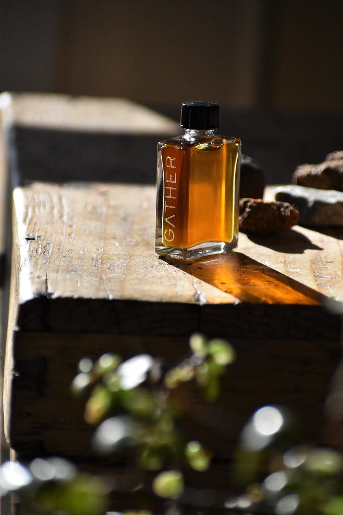 HEIRLOOM OAK - Natural Botanical Perfume - Memoirs Armoire – GATHER