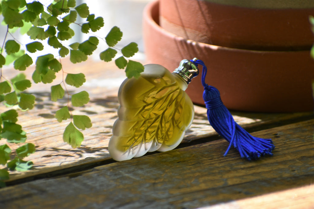 LEAF | natural botanical perfume | translucent green cologne | – GATHER