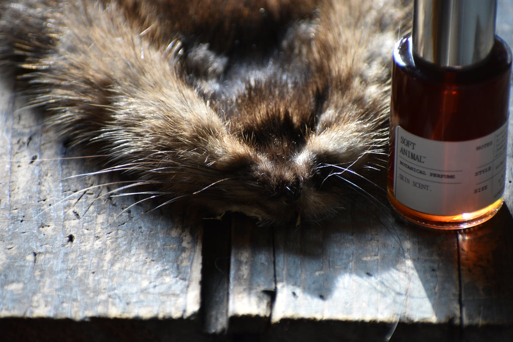 SOFT ANIMAL | Primal Skin Scent | Natural Animalic Perfume | Floral Mu ...